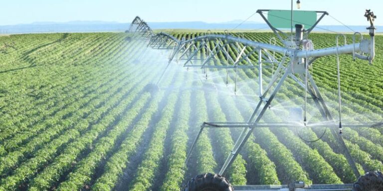 Zimbabwe sets agriculture roadmap for 2030 - HararePost