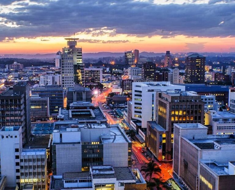 Zim’s horticulture blossoms as new cargo airline links Harare to Europe ...