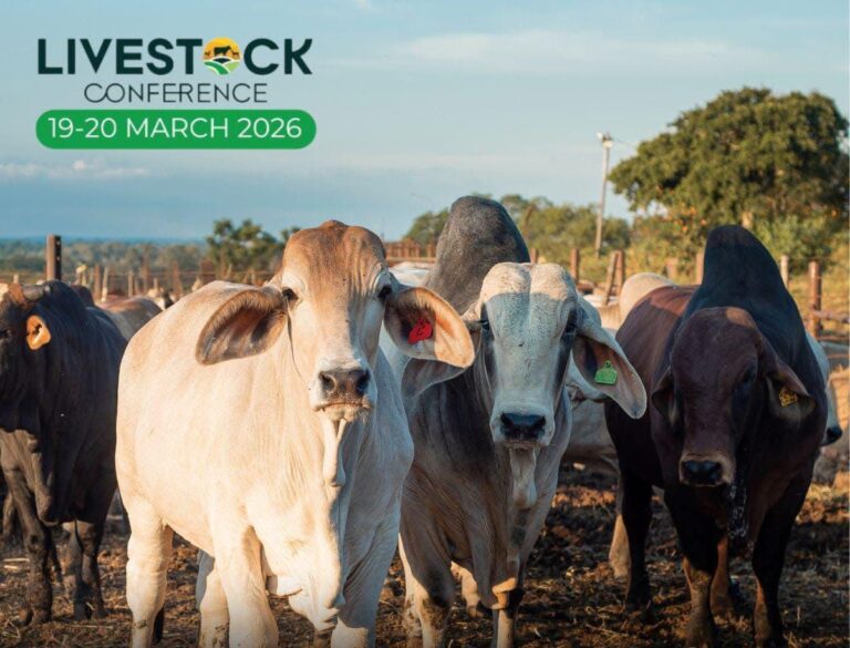 2026 Tobacco marketing season to open early march - HararePost