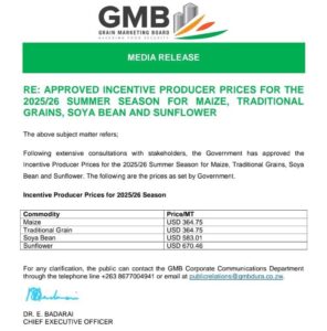 Govt sets producer prices for 2025/2026 summer cropping season - HararePost